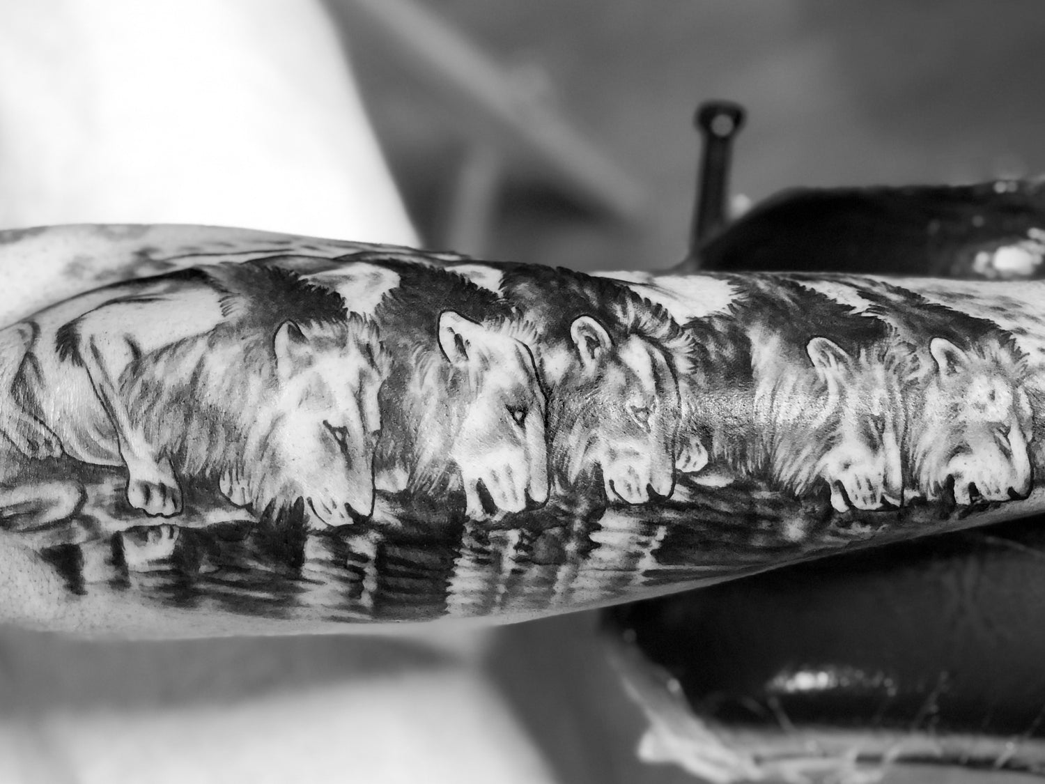 Black & White Tattoos by Shannon Byrd – byrdhousestudios